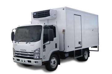 MR (Medium Rigid) Driver-22931