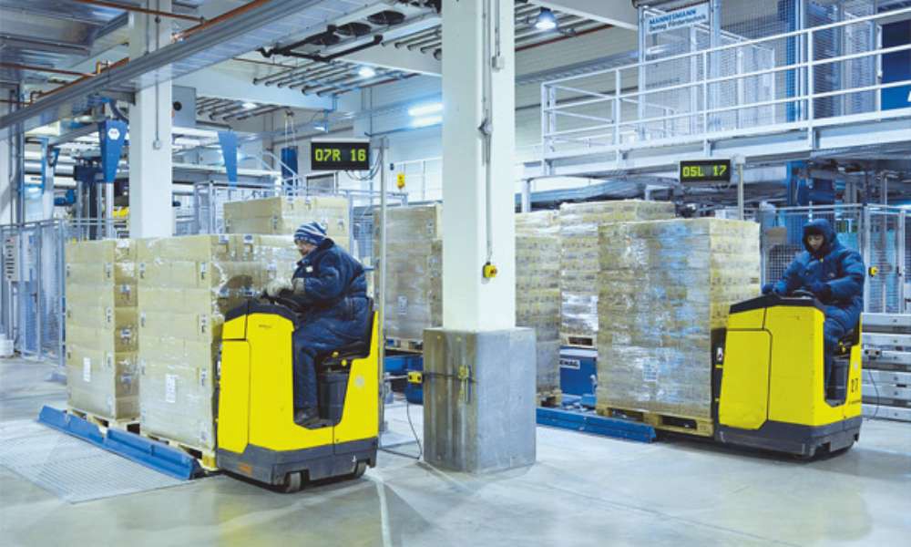 Cold Room Forklift Operator-25612