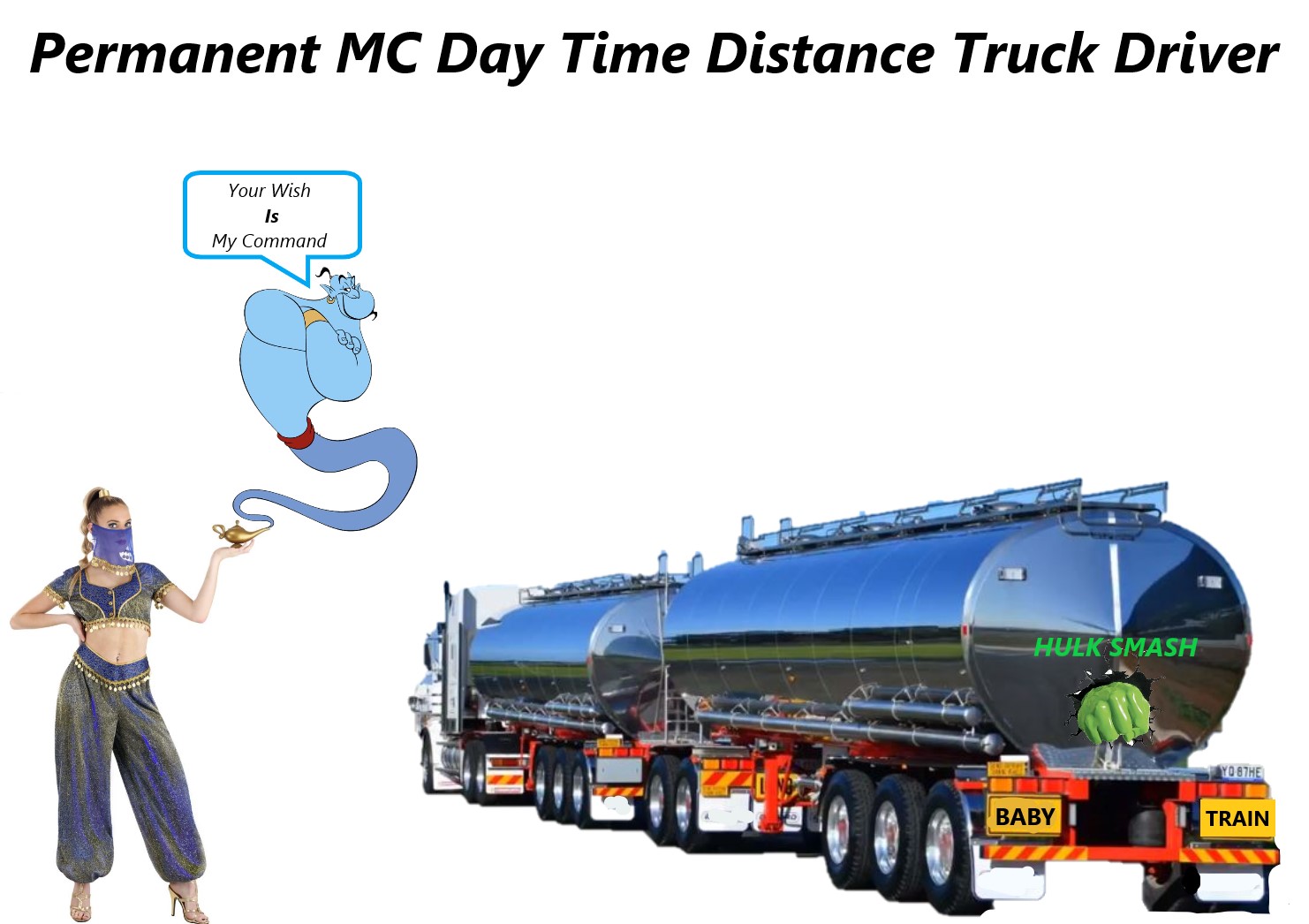 Permanent MC Full Distance Truck Driver-28626