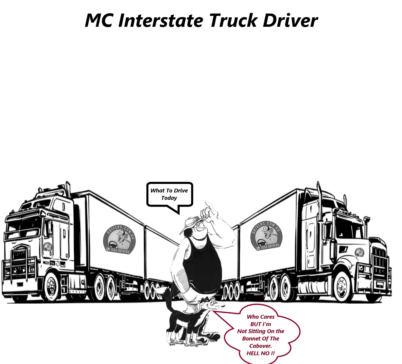MC Bulk DG Interstate Truck Driver -28768